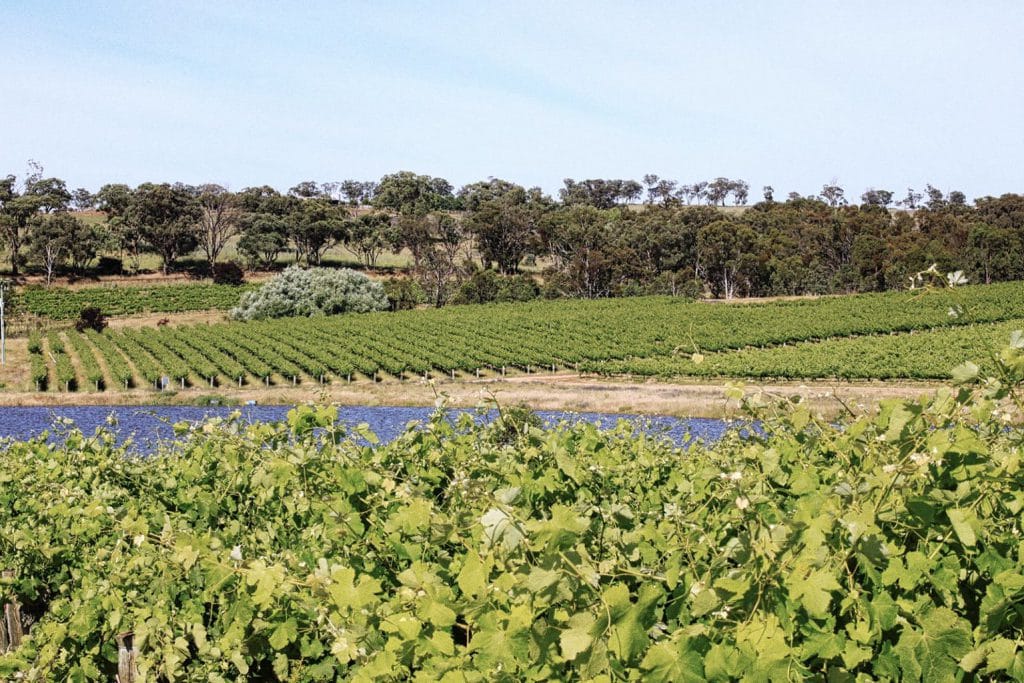 Contact Us – Moppity Vineyards